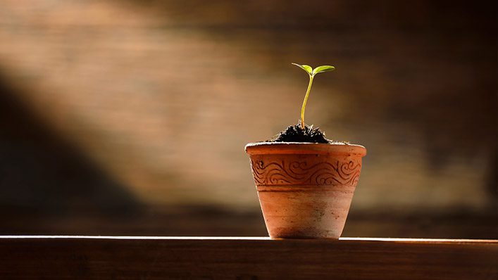 Unveiling Transformative Power: 7 Bible Verses About New Beginnings Unveiling Transformative Power: 7 Bible Verses About New Beginnings